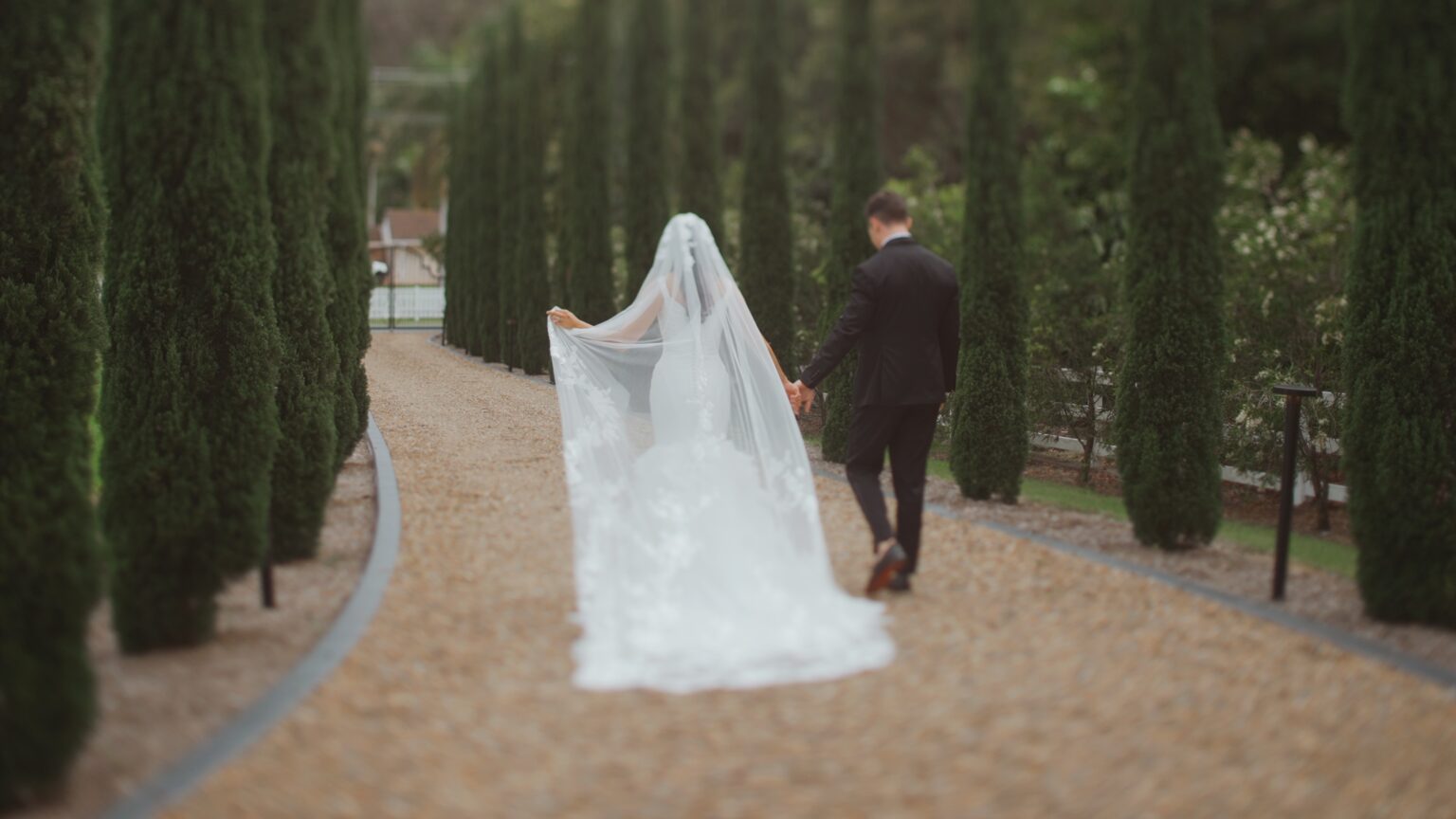 Safina & Brodie's International Destination Wedding at the Gold Coast ...